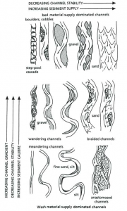 Stream Dynamics-A Deeper Look | Living on the Bank